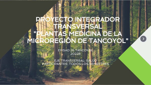 PRESENTACIÓN PROYECTO TRANSVERSAL