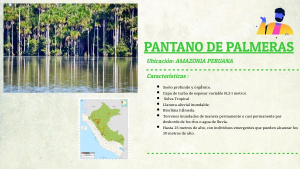 PANTANO DE PALMERAS | Genially