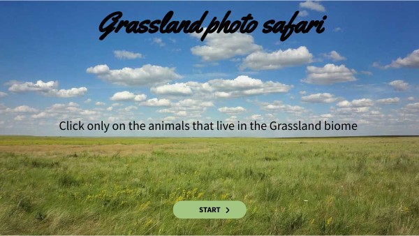 Grassland biome photo safari