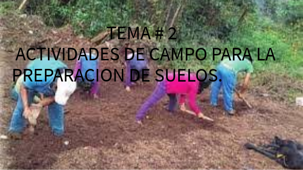 TEMA # 2 , AGRO 7°.