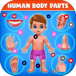 Body parts 1