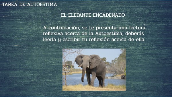 6.TAREA DE AUTOESTIMA