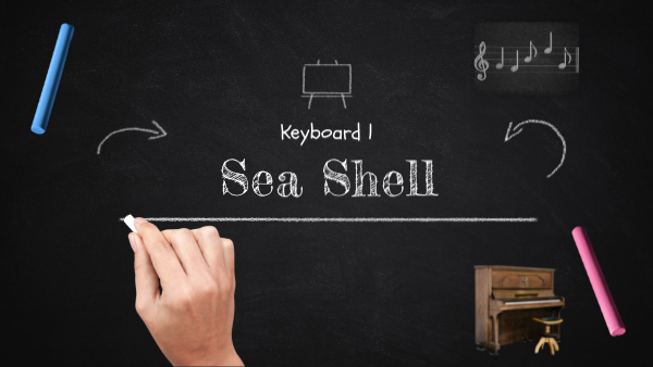 Sea Shell | Genially