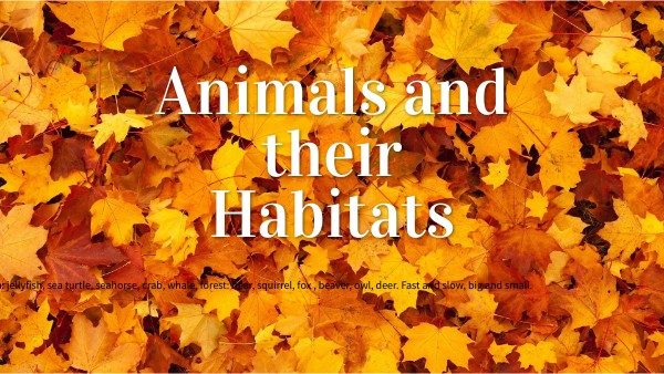 Review animals