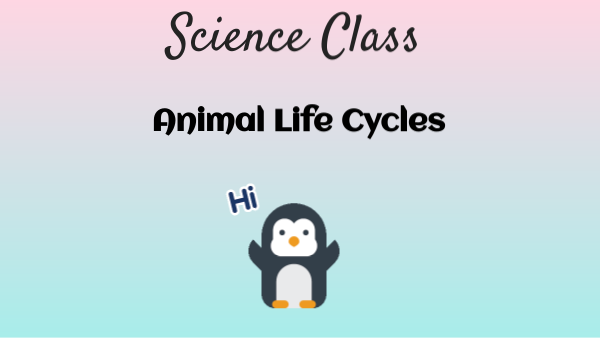 Science Animal Life Cycle | Genially