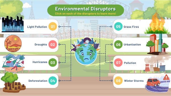 Environmental Disruptors ADI | Genially