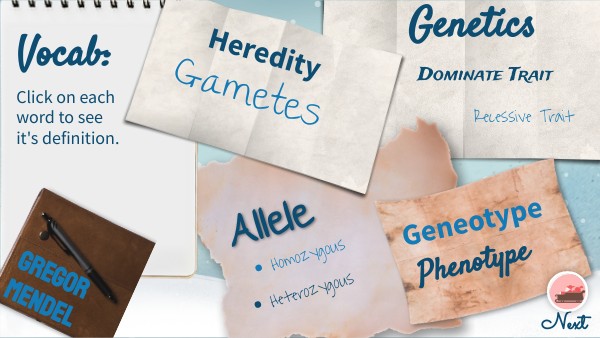 Genetics Vocab