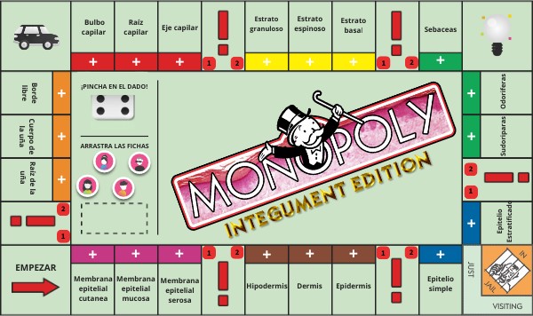 Monopoly: integument edition | Genially