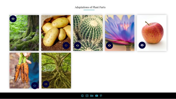 Interactive gallery | Genially