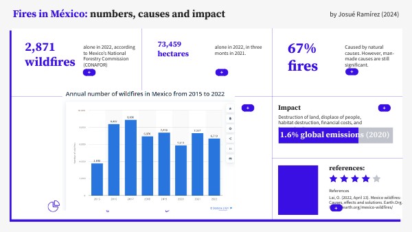Fires in Mexico: numbers, causes and impact | Genially