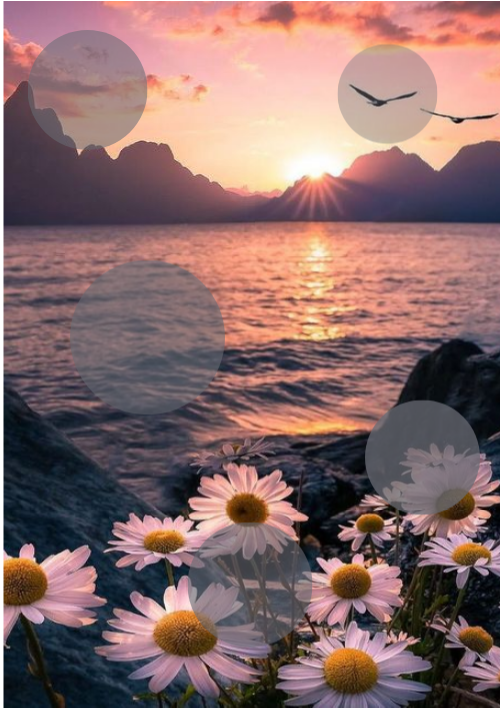 Nature Sounds