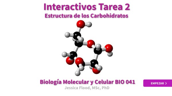 Interactivos Estructura Carbs BIO 041