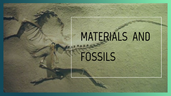 Fossils | Genially