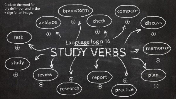 STUDY VERBS
