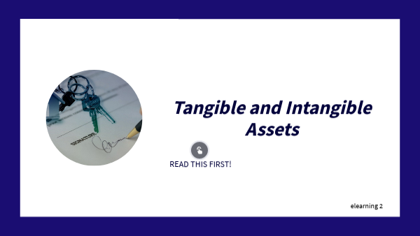 Tangible and Intangible Assets Elearning