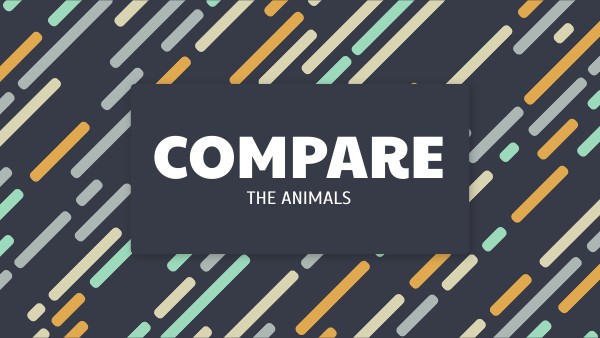 Comparative Adjectives | Genially
