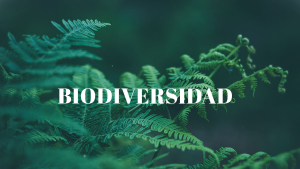 BIODIVERSIDAD | Genially