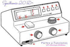 PARTES y FUNCIONES DEL SPECTRONIC 20 D+ | Genially