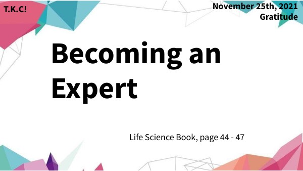 Becoming an Expert
