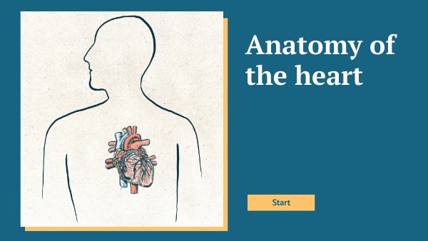 ANATOMY OF THE HEART | Genially