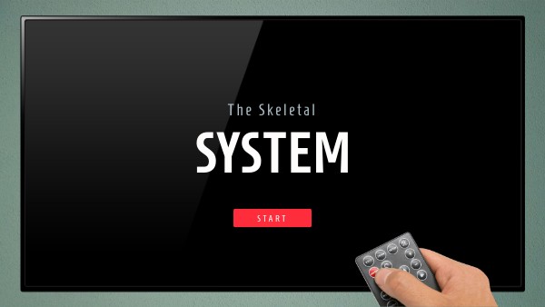 Skeletal System | Genially