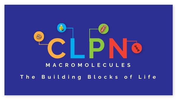 Macromolecules Introduction
