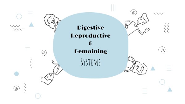 Digestive, Reproductive, & Remaining Systems