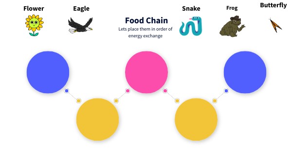 Food Chain Practice