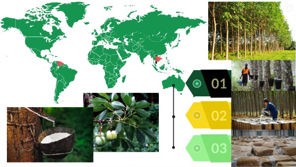 BASIC MAP | Genially