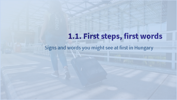 1.1. First steps, first words