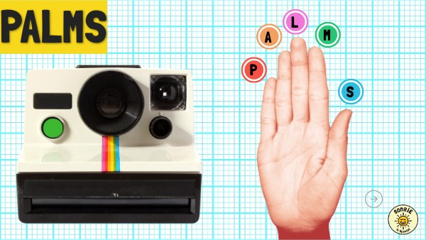 Describe la foto PALMS Interactive Presentation | Genially