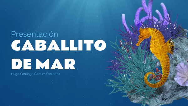 PRESENTACIÓN CABALLITOS DE MAR