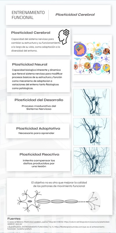 ONE PAGER CORP VERTICAL