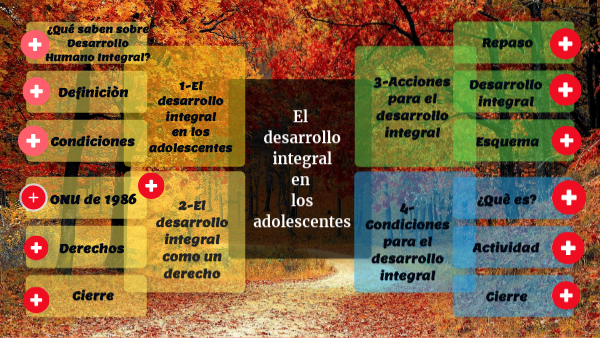 3.- DESARROLLO INTEGRAL