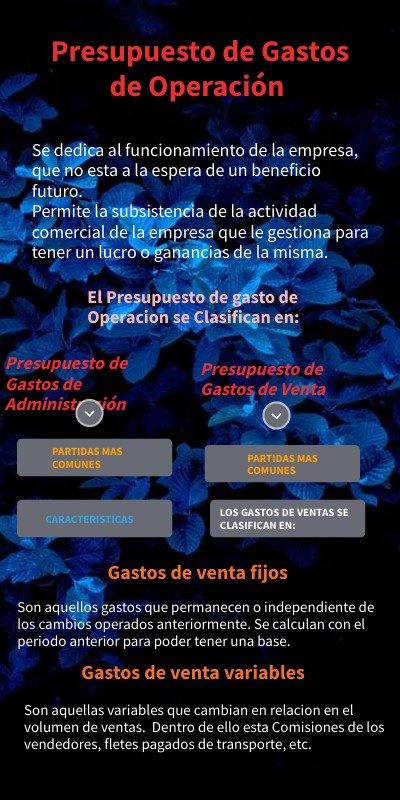 Infografía de Presupuesto de Gastos de Operación | Genially