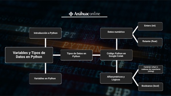 Variables en phyton | Genially