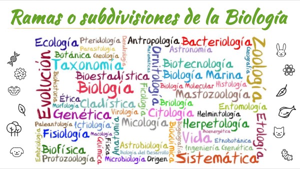 Ramas - subdivisiones de la Biología