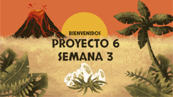 PROYECTO 6 - SEMANA 3