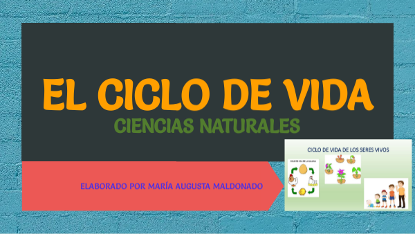 Ciclo de vida | Genially