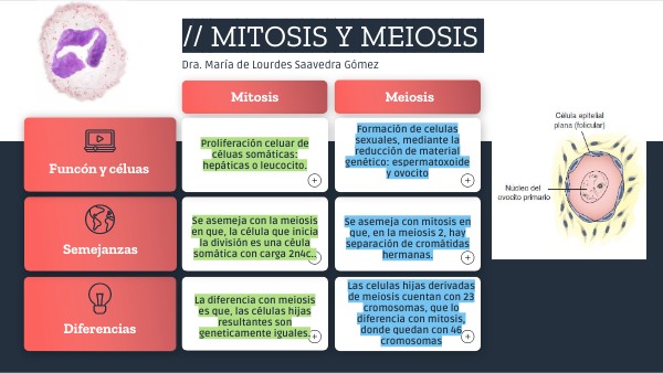 Cuadro Comparativo Meiosis Y Mitosis