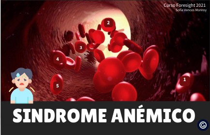 Sindrome anémico
