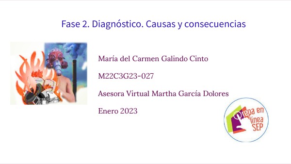 Fase 2. Diagnóstico. Causas y consecuencias | Genially