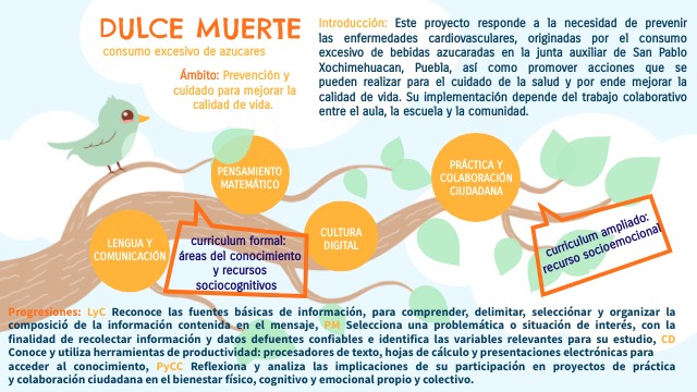 infografía progresiones