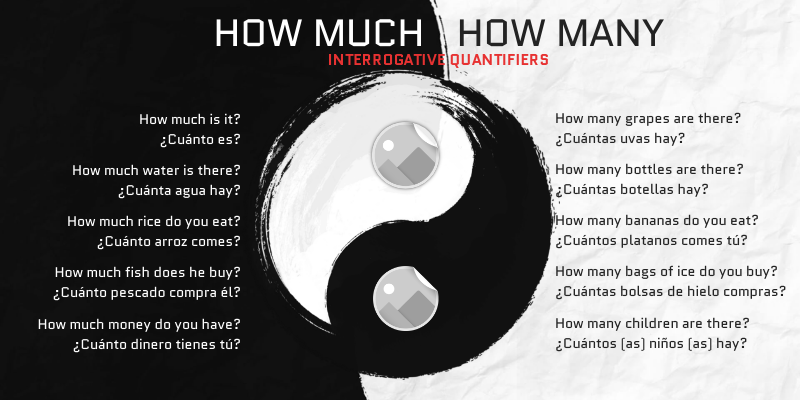 How much how many | Genially