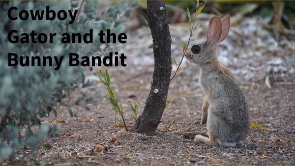 Cowboy Gator and the Bunny Bandit