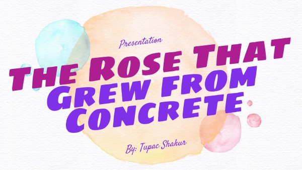 The Rose That Grew From Concrete | Genially