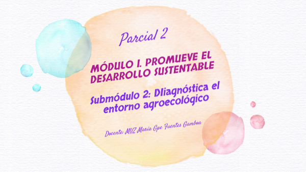 PRESENTACIÓN Parcial 2 Submódulo 2