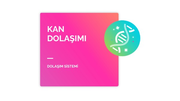 061sci-ppt-w11-(dolaşım sistemi) | Genially