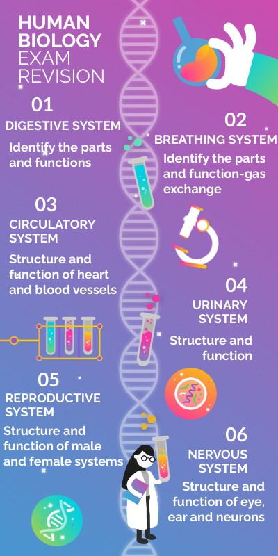BIOLOGY VIBRANT TIMELINE