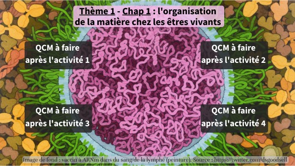 1) Thème 1 - Chap 1 | Genially